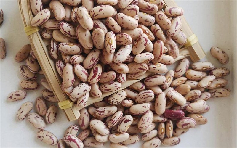 Đậu pinto - đậu cúc là gì? Tác dụng của đậu cúc với sức khỏe