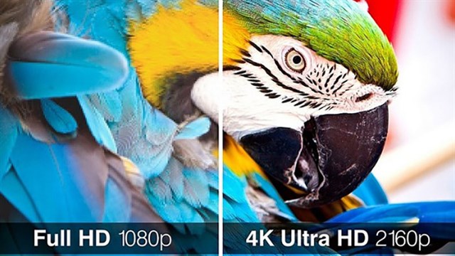 TOP 7 phần mềm xem video 4K trên máy tính tốt nhất, chất lượng nhất