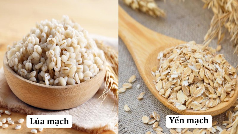 Đại mạch - lúa mạch (barley) là gì? Phân biệt lúa mạch và yến mạch