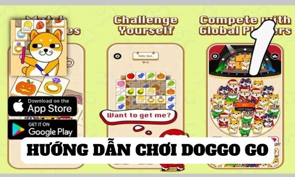 Hướng dẫn cách chơi Doggo Go đơn giản cho người mới