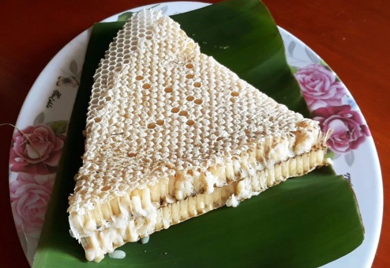 Cháo ong non là gì? Cách chọn mua, sơ chế, bảo quản ong non