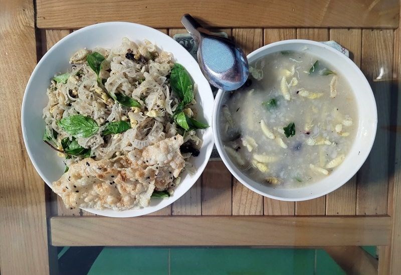 Cháo ong non là gì? Cách chọn mua, sơ chế, bảo quản ong non