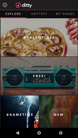 Ditty: Hát những gì bạn nhập