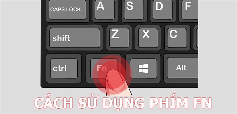 Giải thích fn + f1 là gì đơn giản và dễ hiểu nhất