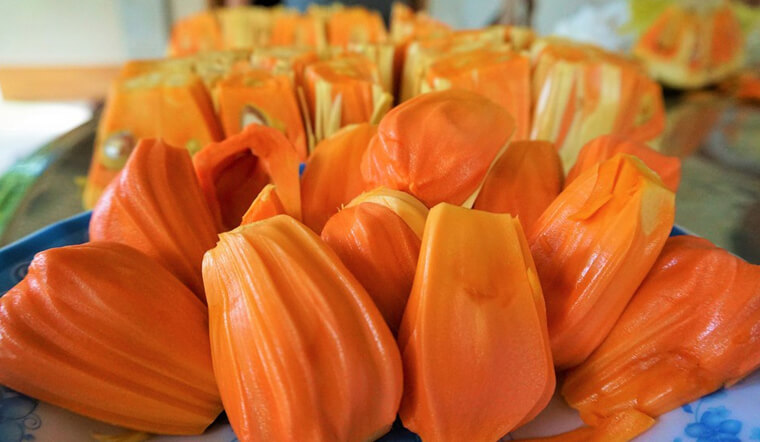 Mít ruột đỏ là mít gì mà khiến nông dân từ nghèo thành tỷ phú?