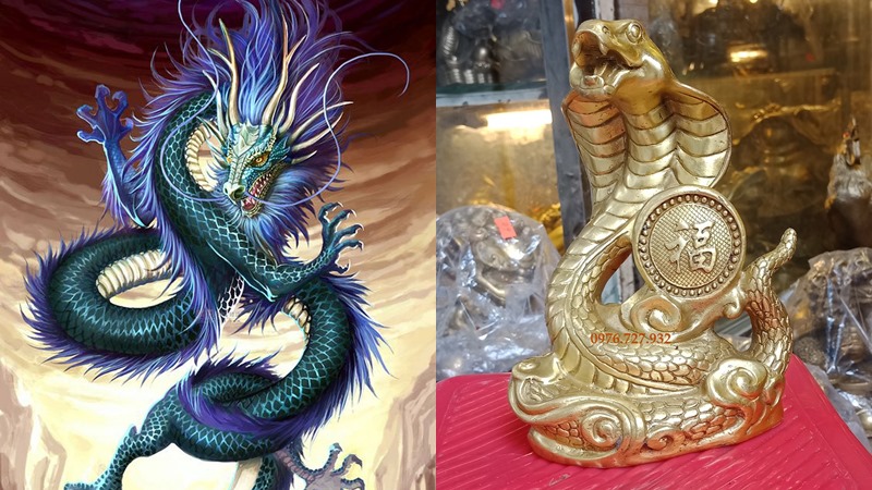 Rau má lá sen: Đặc điểm, công dụng và ý nghĩa phong thủy