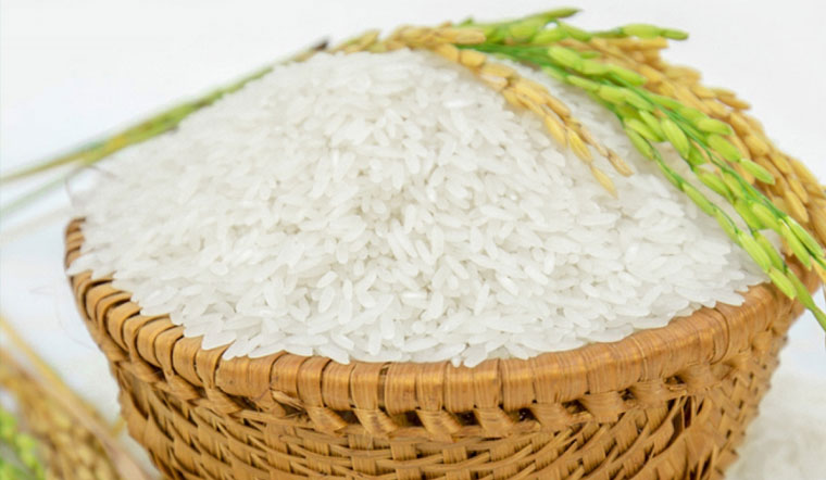 Giá lúa gạo hôm nay 16/03/2022: Chênh lệch 100 đồng/kg ở vài giống lúa