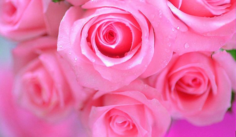 Get creative with Pink background YT For your YouTube channel