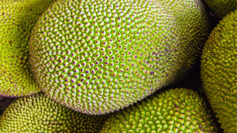 Giá mít Thái hôm nay 20/02/2023: Giá mít hôm nay không thay đổi