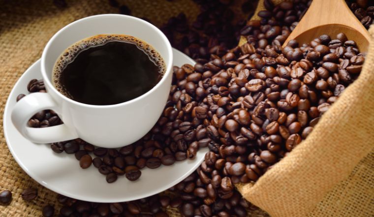 Giá cà phê hôm nay 08/08/2023: Tăng 1.000đ so với hôm qua