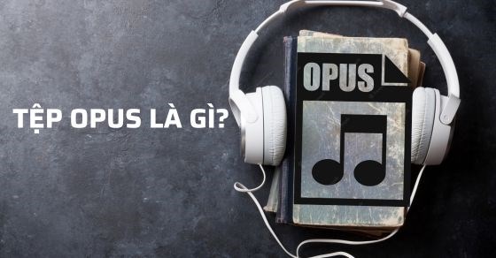 Opus là gì? Những điều bạn cần biết về kiểu định dạng âm thanh này ...
