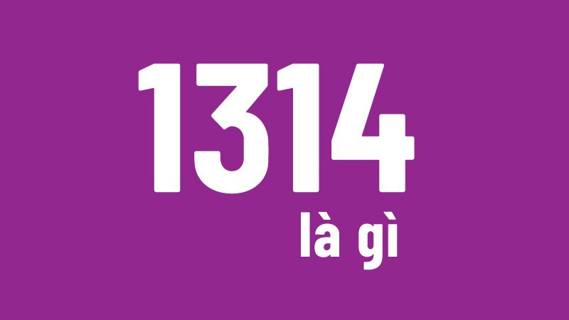 1314 Meaning
