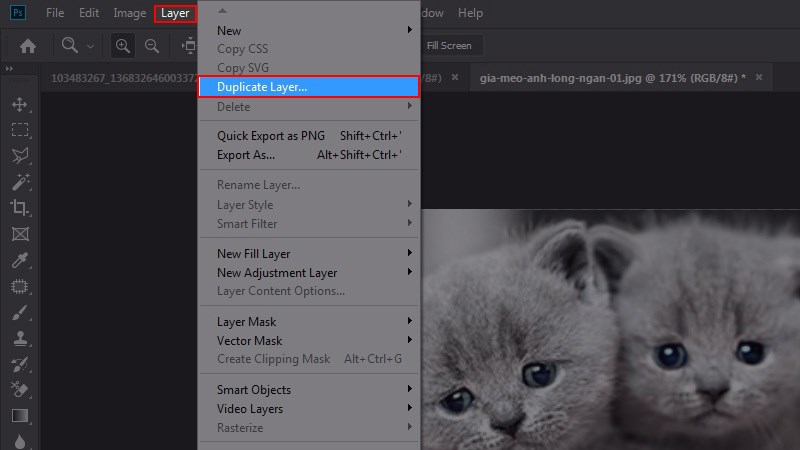 Cách copy Layer, nhân đôi Layer, lấy mã màu, copy màu trong Photoshop