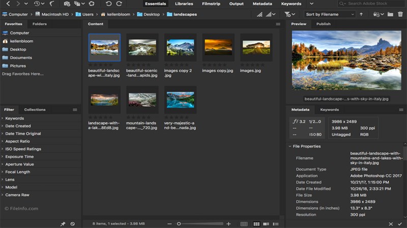 Adobe Bridge là gì? Các tính năng nổi bật của Adobe Bridge