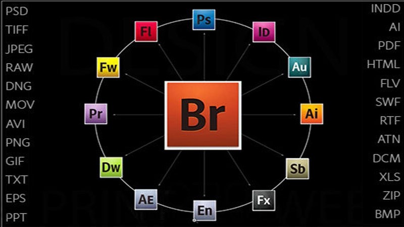 Adobe Bridge là gì? Các tính năng nổi bật của Adobe Bridge