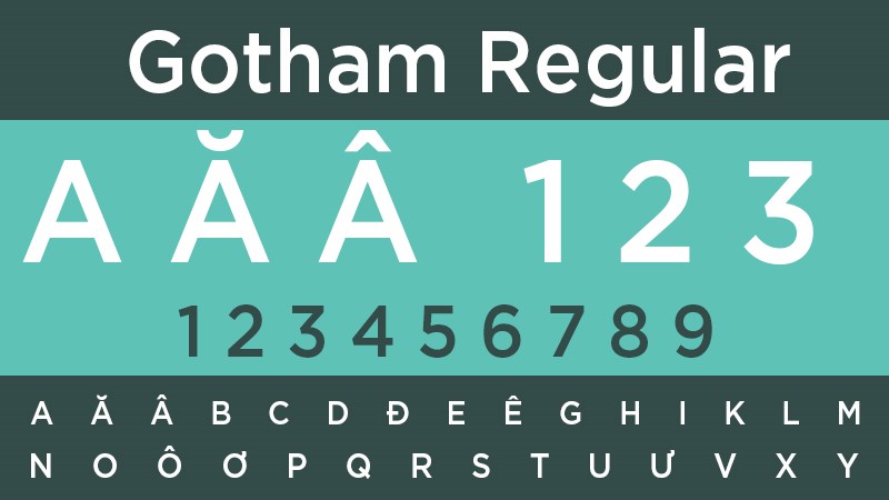 Tải font Gotham Việt hóa miễn phí: Trọn bộ Font Gotham đẹp