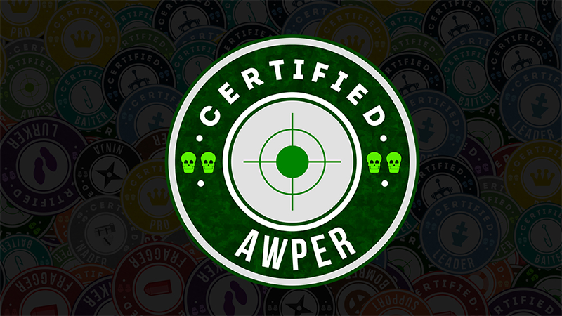 Tổng hợp các Role (vai trò) trong game FPS CS:GO