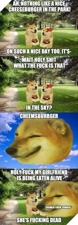 Meme Cheems là gì? Nguồn gốc, ý nghĩa, các meme hài hước, vui nhộn