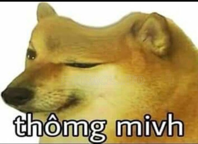 Meme Cheems là gì? Nguồn gốc, ý nghĩa, các meme hài hước, vui nhộn