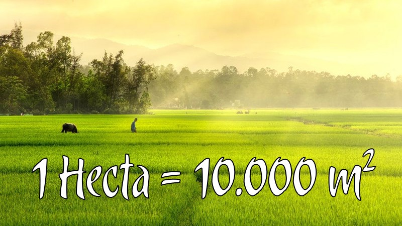 1 hecta bằng bao nhiêu m2, km2, cm2, sào? Đổi 1 ha = mét vuông