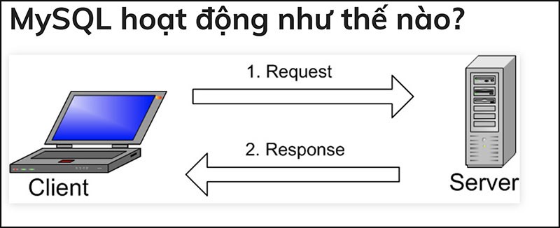MySQL là gì? Ưu nhược điểm và tầm quan trọng của MySQL