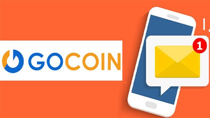 Hướng dẫn cách mua, lấy lại mã thẻ Gocoin bằng SMS nhanh chóng