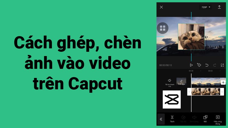 Hướng Dẫn Cách Ghép ảnh Vào Phông Xanh Trên Capcut Tự Tay Tạo Ra Video