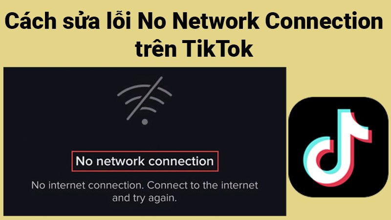 6 cách sửa lỗi No Network Connection trên TikTok cực đơn giản