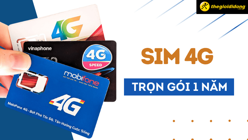 Tổng hợp sim data 4G trọn gói 1 năm, chiến game cày phim không lo nghĩ
