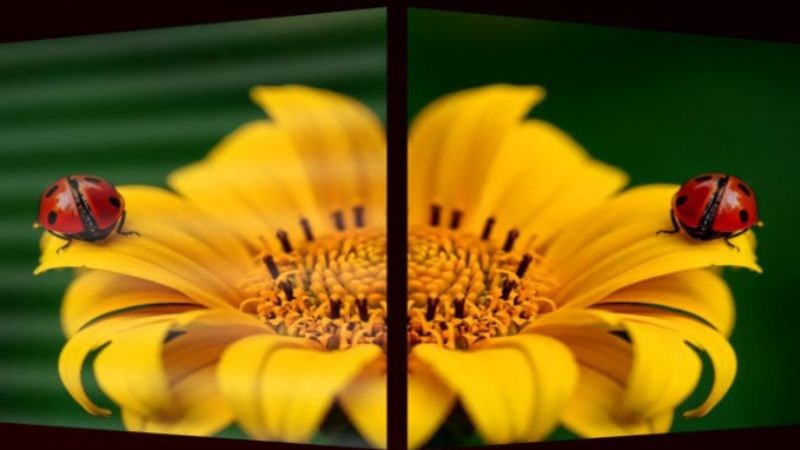 Flicker Free là gì? Công nghệ màn hình bảo vệ mắt cho người dùng