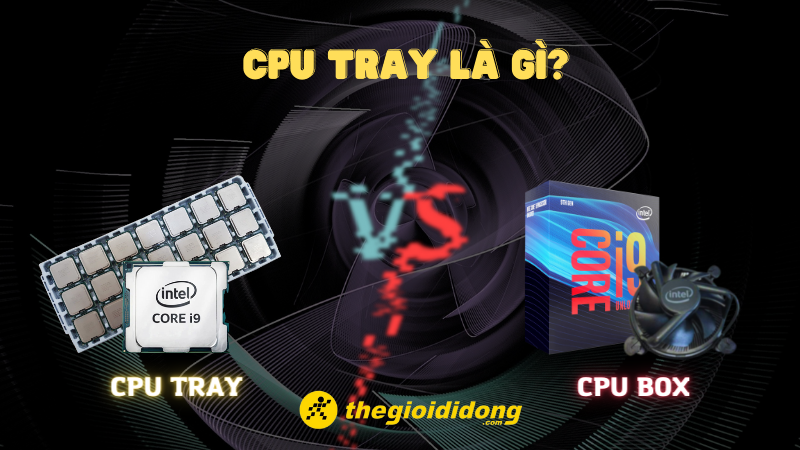 CPU Tray là gì? Tìm hiểu về CPU Tray và những điều cần biết