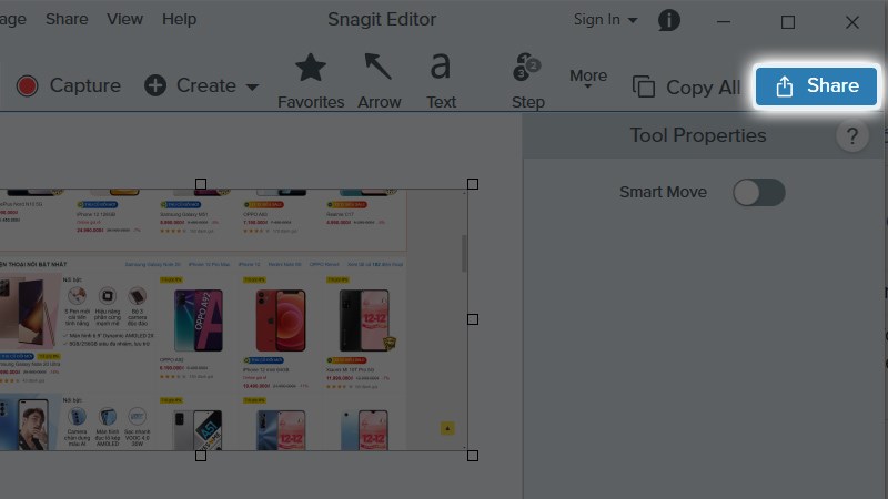 Where does snagit store images - reslex