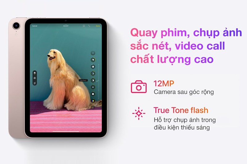 Máy tính bảng iPad mini 6 WiFi Cellular 256GB chính hãng
