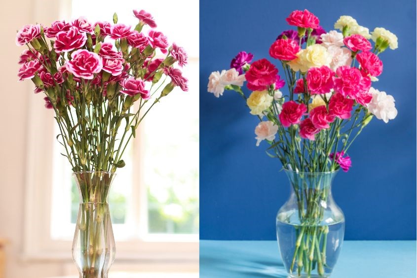 Hướng dẫn 15 cách cắm hoa ngày Tết đẹp, đơn giản chi tiết