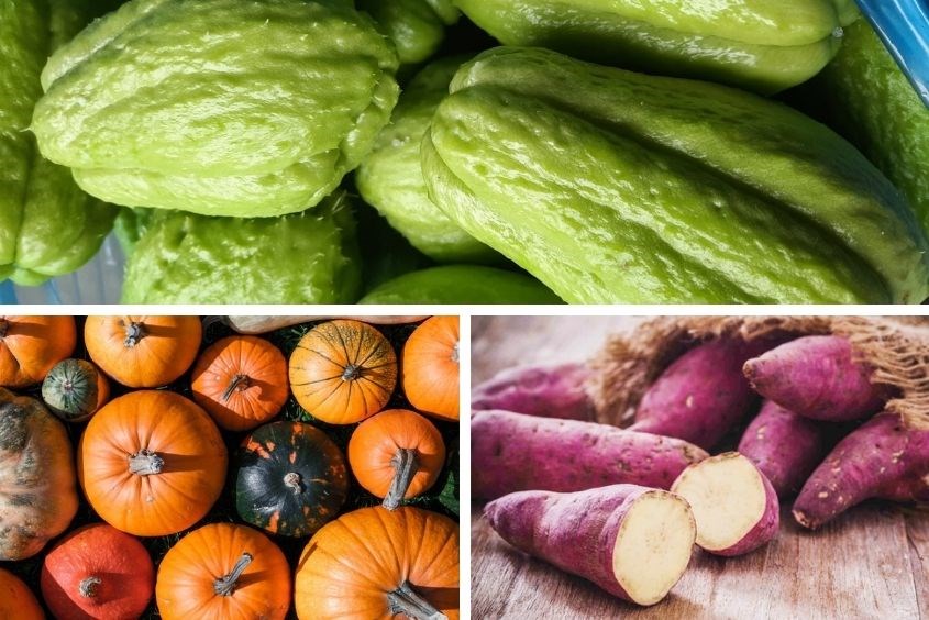 05 công thức nấu cháo su su cho bé ăn dặm ngon và đơn giản