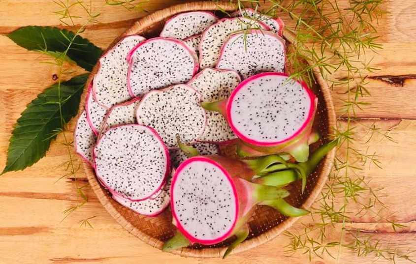 Thương hiệu Hector thuộc nước nào? Có tốt không? Các dòng sản phẩm nổi