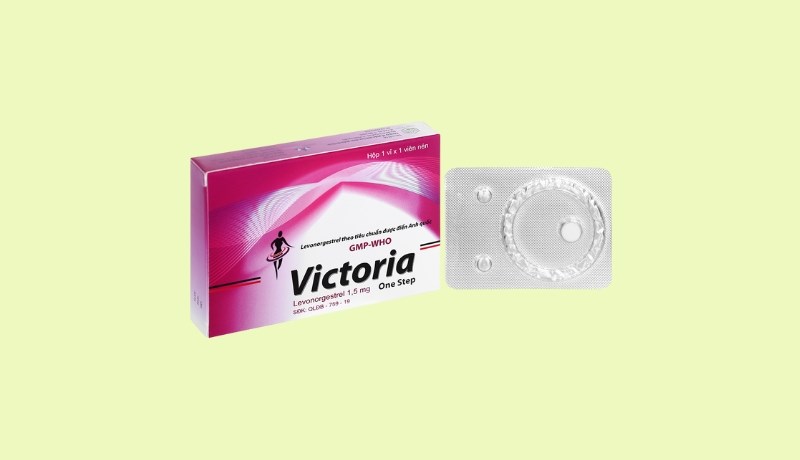 Thương hiệu Ba Đình của nước nào? Các dòng sản phẩm nổi bật