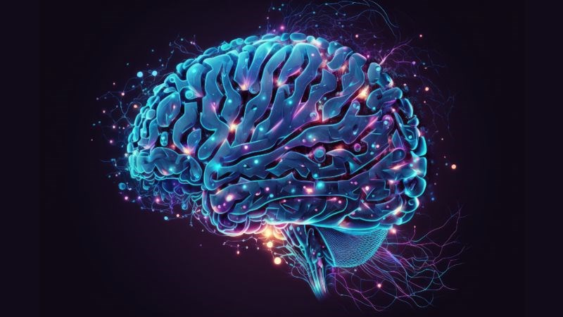 Omega 9 là gì? Tác dụng, cách dùng, thực phẩm chứa omega 9