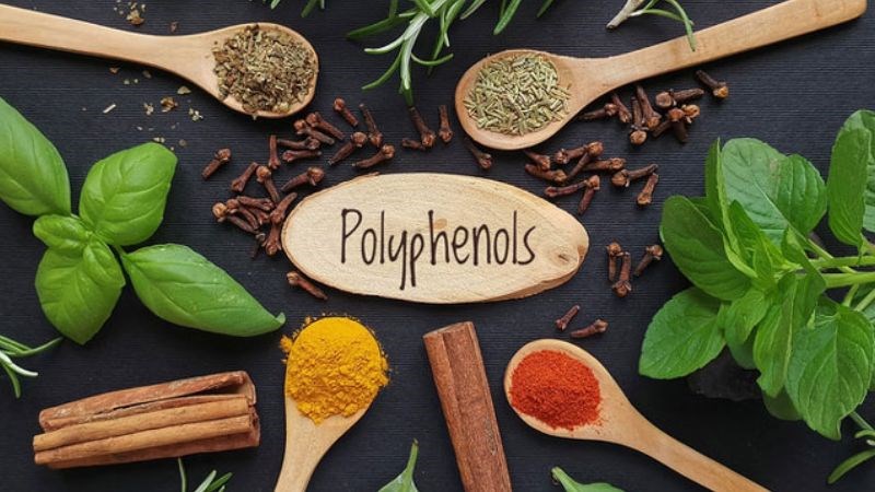 Polyphenol là gì? Tác dụng của Polyphenol với sức khỏe và lưu ý