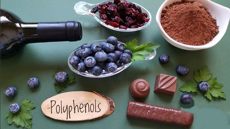Polyphenol là gì? Tác dụng của Polyphenol với sức khỏe và lưu ý