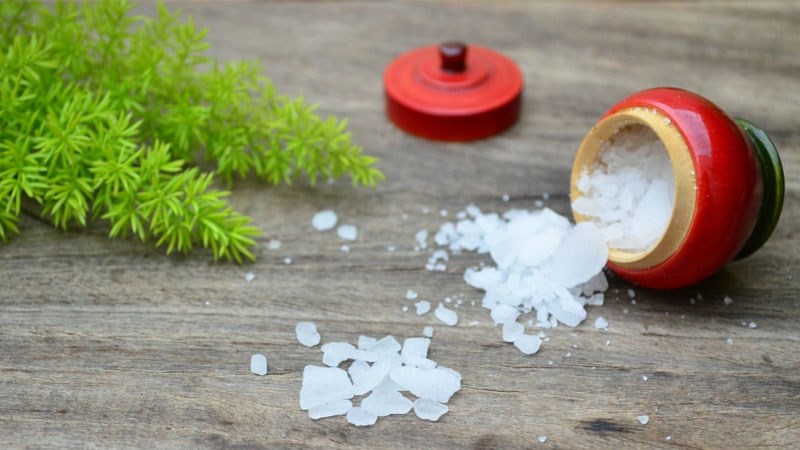 Camphor là gì? Khám phá ý nghĩa, cách dùng và ví dụ thực tế