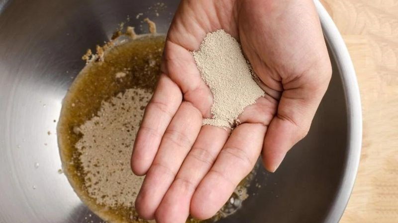 Men bia là gì? 5 tác dụng của men bia đối với sức khỏe