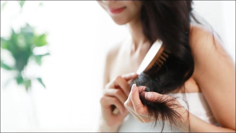 Men bia là gì? 5 tác dụng của men bia đối với sức khỏe