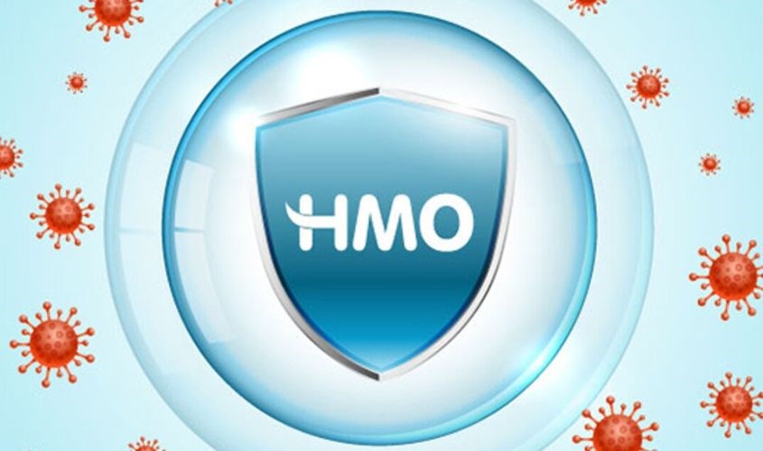 HMO là gì? Lợi ích của HMO trong sữa mẹ đối với trẻ sơ sinh