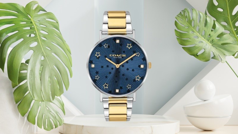 Đồng hồ Teintop của nước nào? Đặc điểm nổi bật của đồng hồ Teintop ...