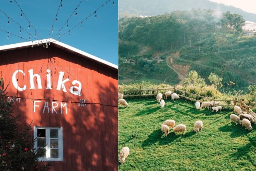 12+ Khu vui chơi trẻ em Đà Lạt được yêu thích nhất dịp hè 2023