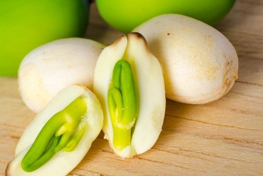 12 món cháo hạt sen cho bé đầy đủ dinh dưỡng mẹ có thể tự làm tại nhà