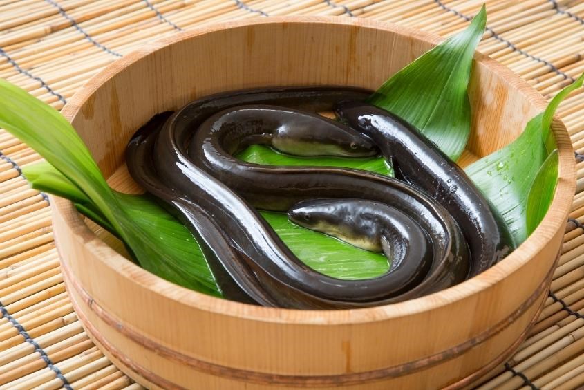 12 món cháo hạt sen cho bé đầy đủ dinh dưỡng mẹ có thể tự làm tại nhà