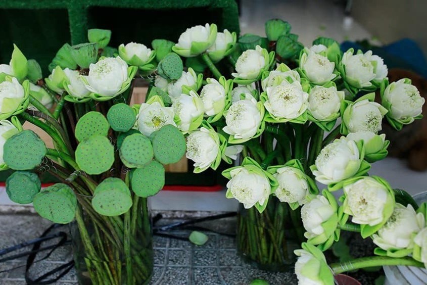 18+ cách cắm hoa sen tuyệt đẹp cho không gian Tết cổ truyền 2026