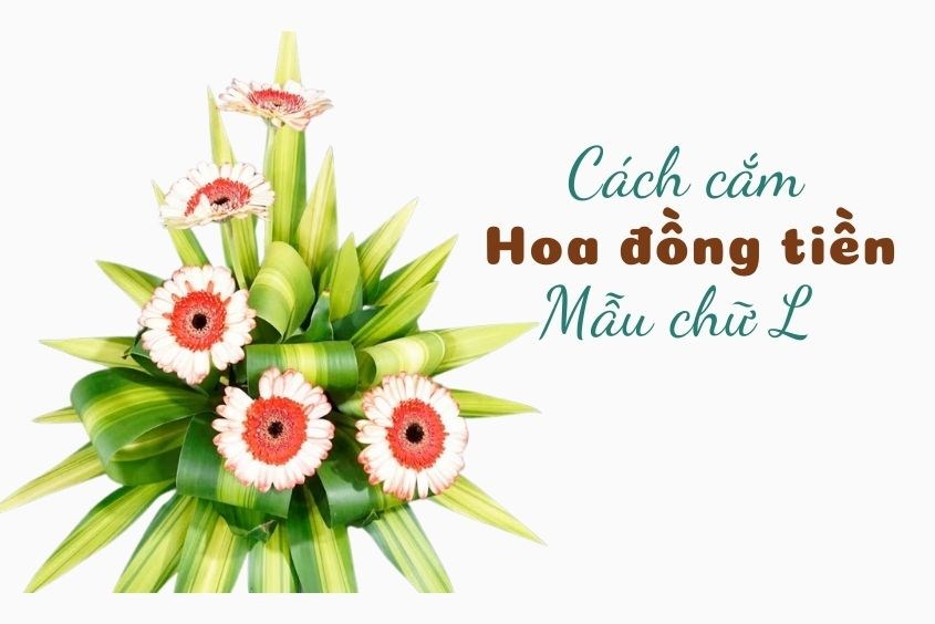 Cẩm Nang Trồng Hoa Cách Cắm Hoa Tiền đẹp Cho Không Gian Sống Lung Linh Hơn